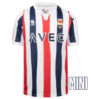 Willem ii fc store